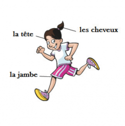 Le corps / the body - Matt French Tutor